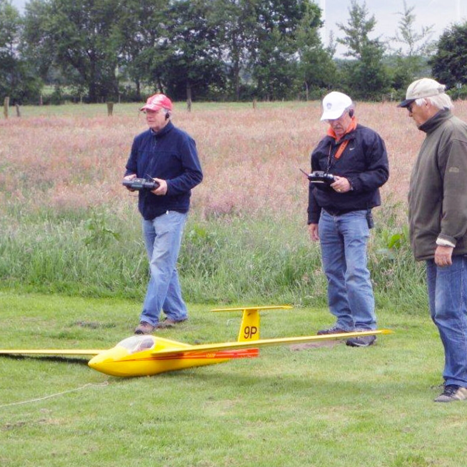 Schweizer SGS 1-36 1:4 scale 138.6 3.52m wingspan | Etsy
