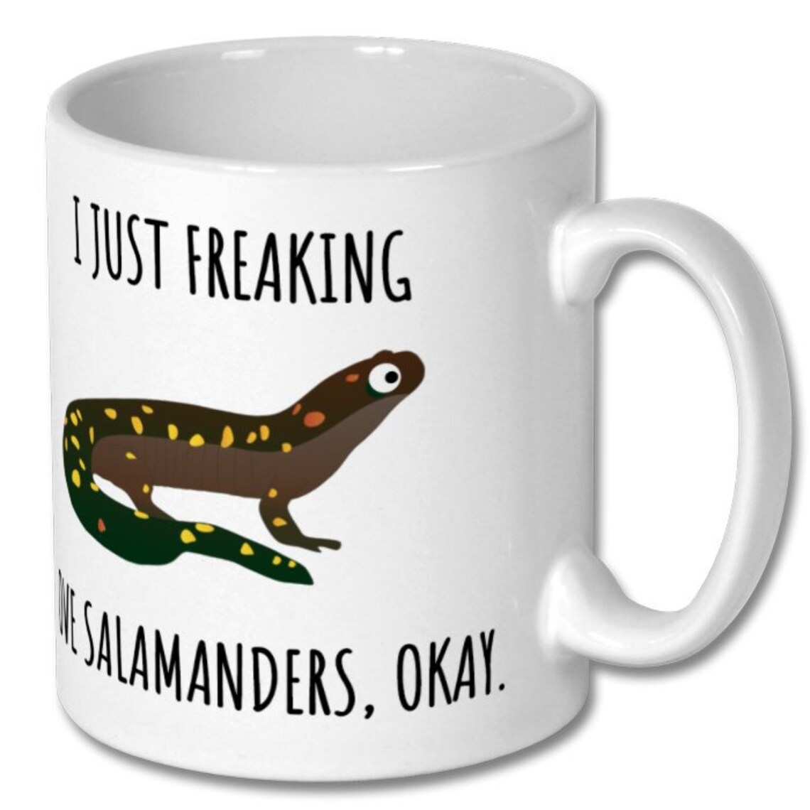 SALAMANDER LOVER GIFT, Salamander Lover Gift, Salamander Lover Mug ...