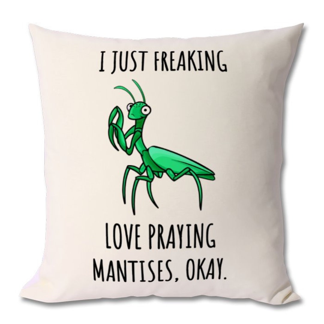 PRAYING MANTIS LOVER Gift Praying Mantis Lover Cushion Gift - Etsy