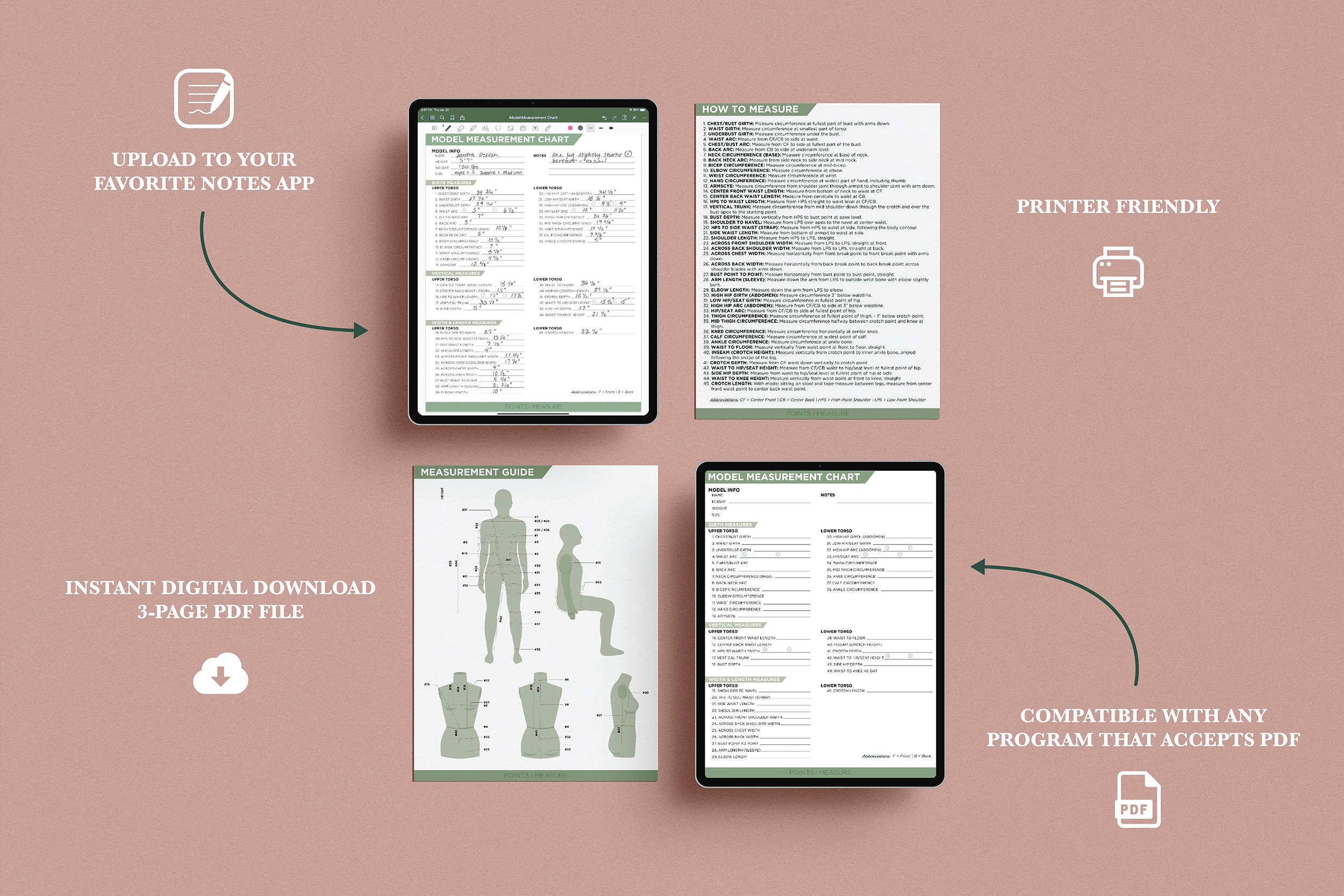 Model Measurement Form Guide | How to Measure a Model | Size Chart ...