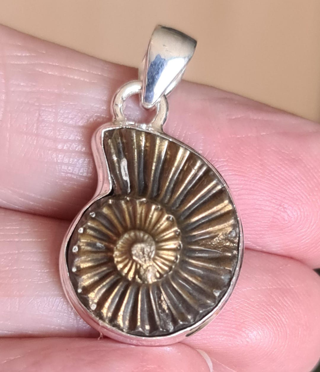 Golden Sterling Silver and Ammonite Pendant 5.7g Natural Fossil - Etsy