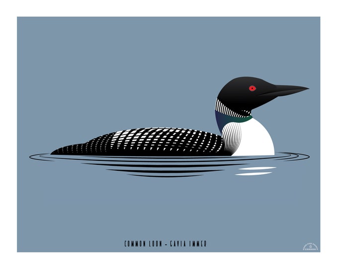Common Loon - Etsy