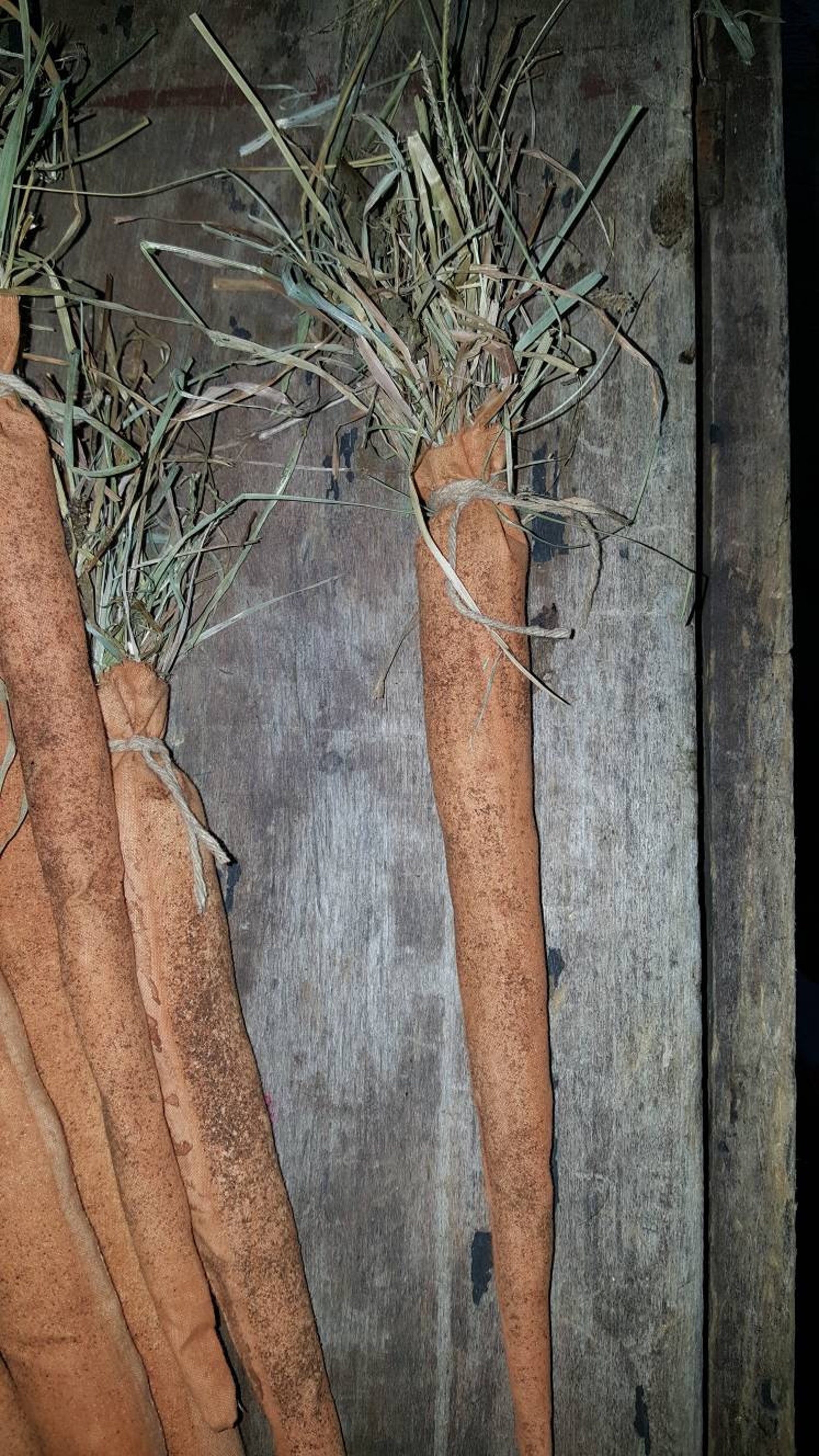Peter Rabbit Primitive Carrots Grungy Carrots Easter. - Etsy