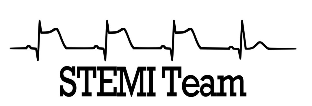 STEMI Team Vinyl Decal - Etsy