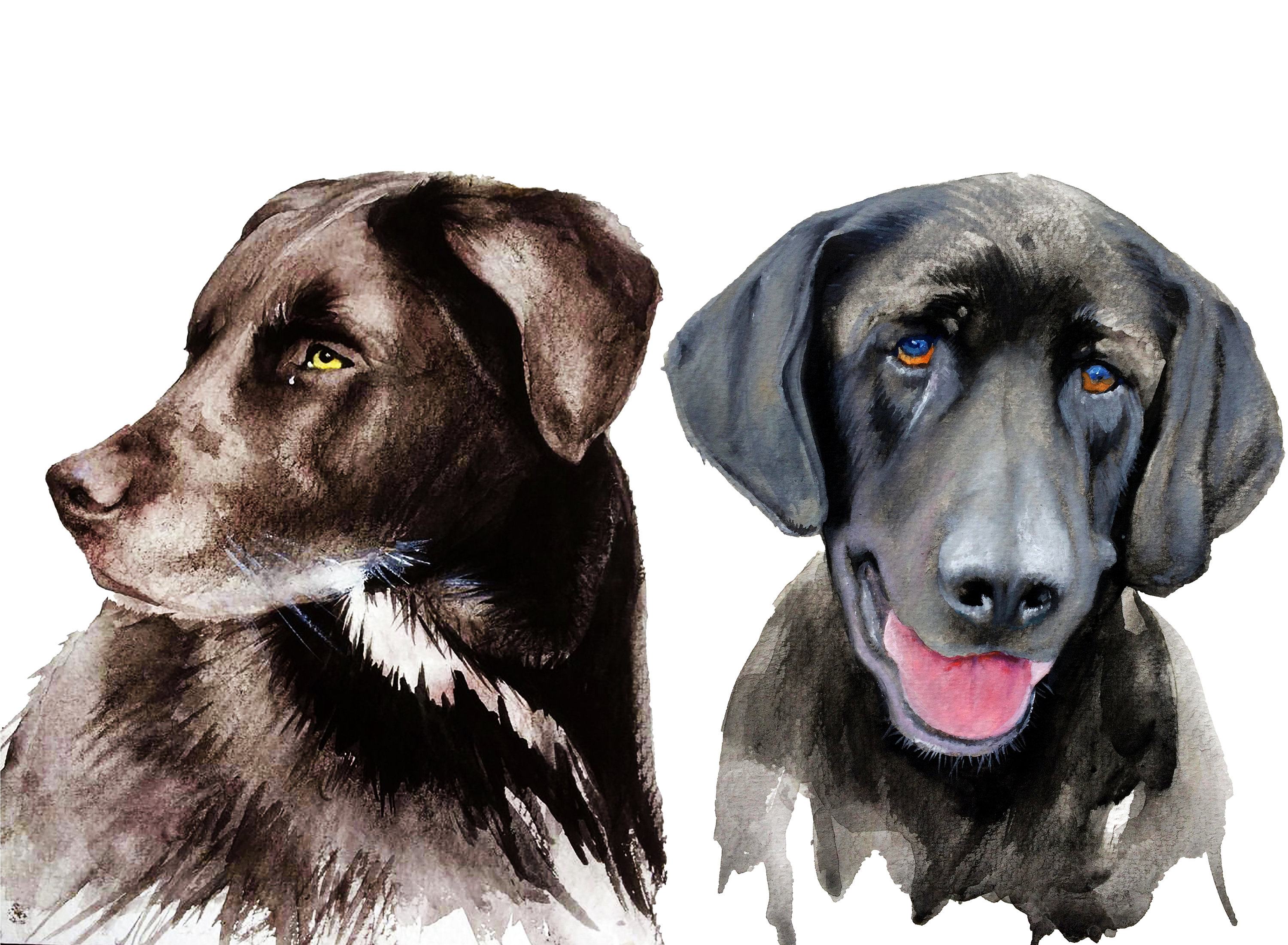 TWO PETS Portrait Multi Pet Portrait Custom Dog Portrait Two - Etsy