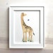 Safari Animal Watercolor Print Set Safari Nursery Decor Zoo Animals ...