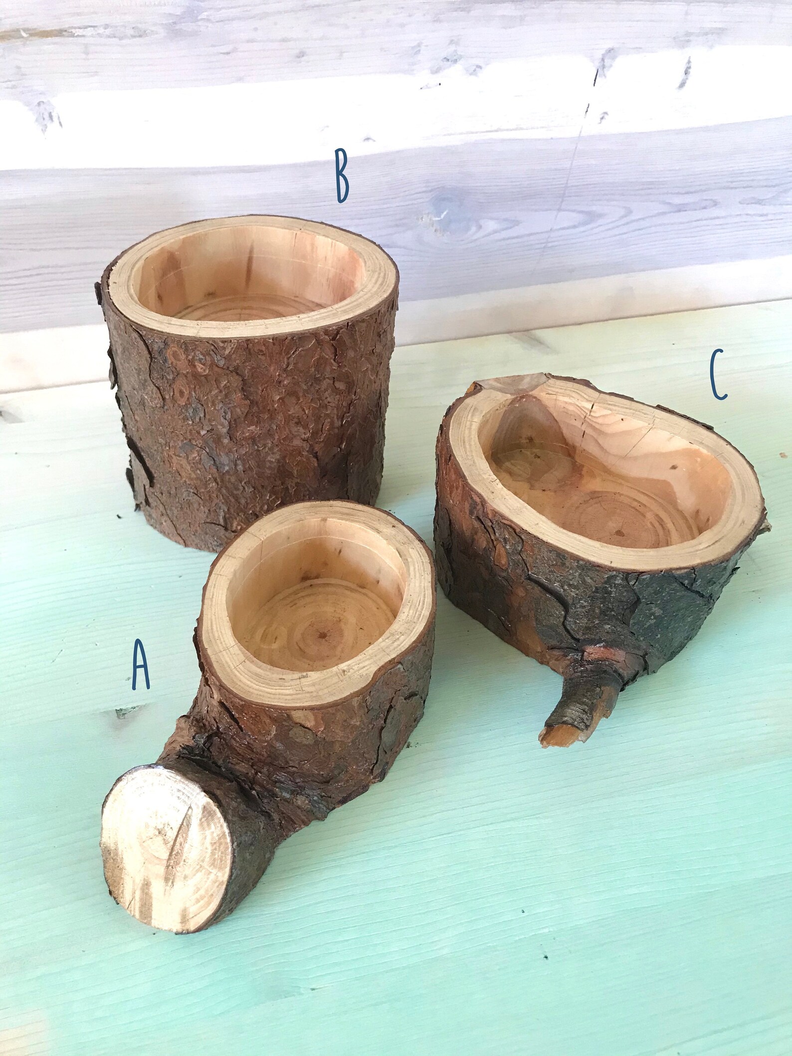 Tree Stump Air Plant Holder Tree Stump Dish Wooden Bowl | Etsy