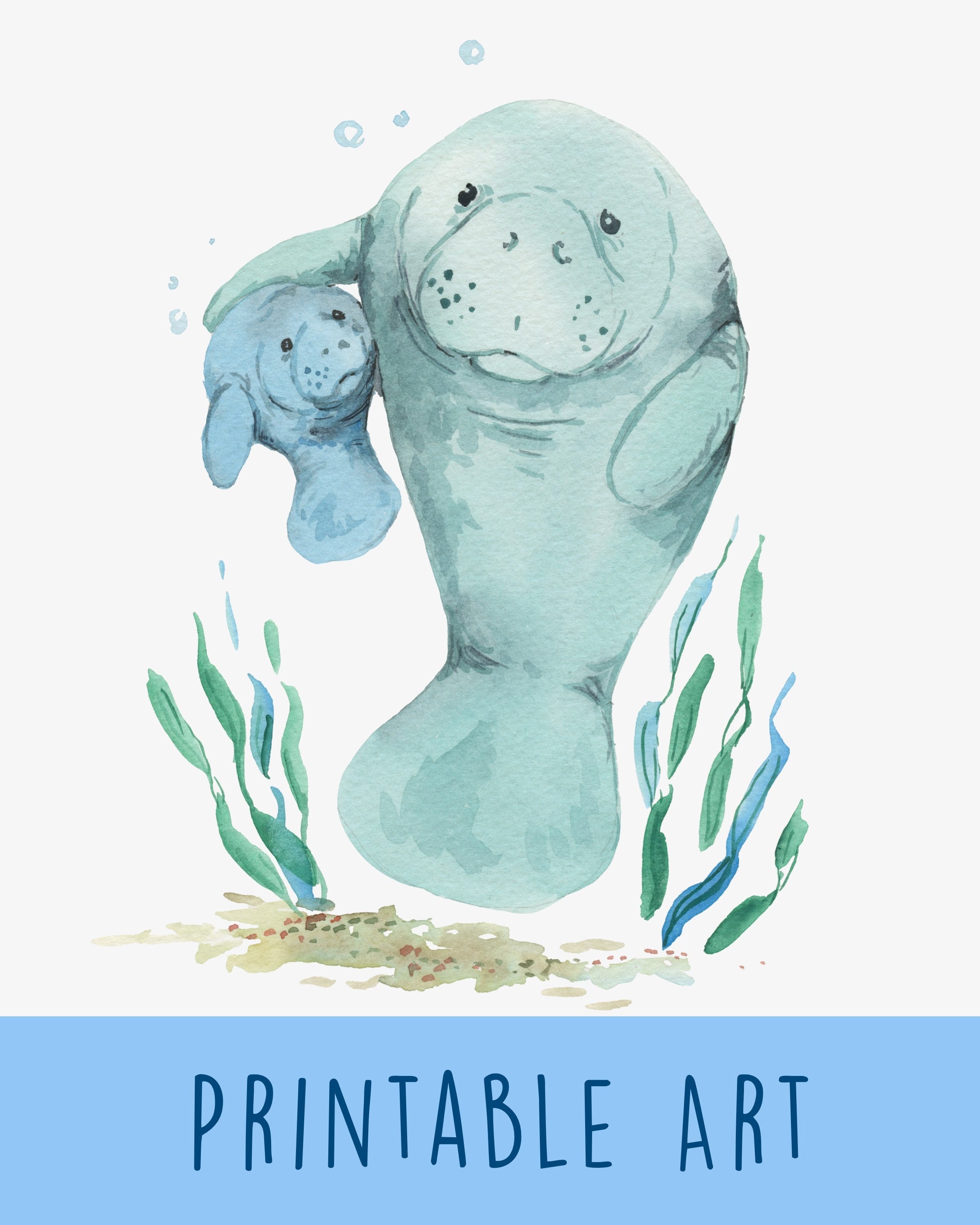 Baby Manatee Drawing