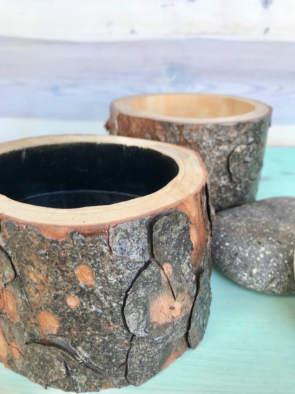 Tree Stump Air Plant Holder, Tree Stump Dish, Wooden Bowl, Tree Stump ...