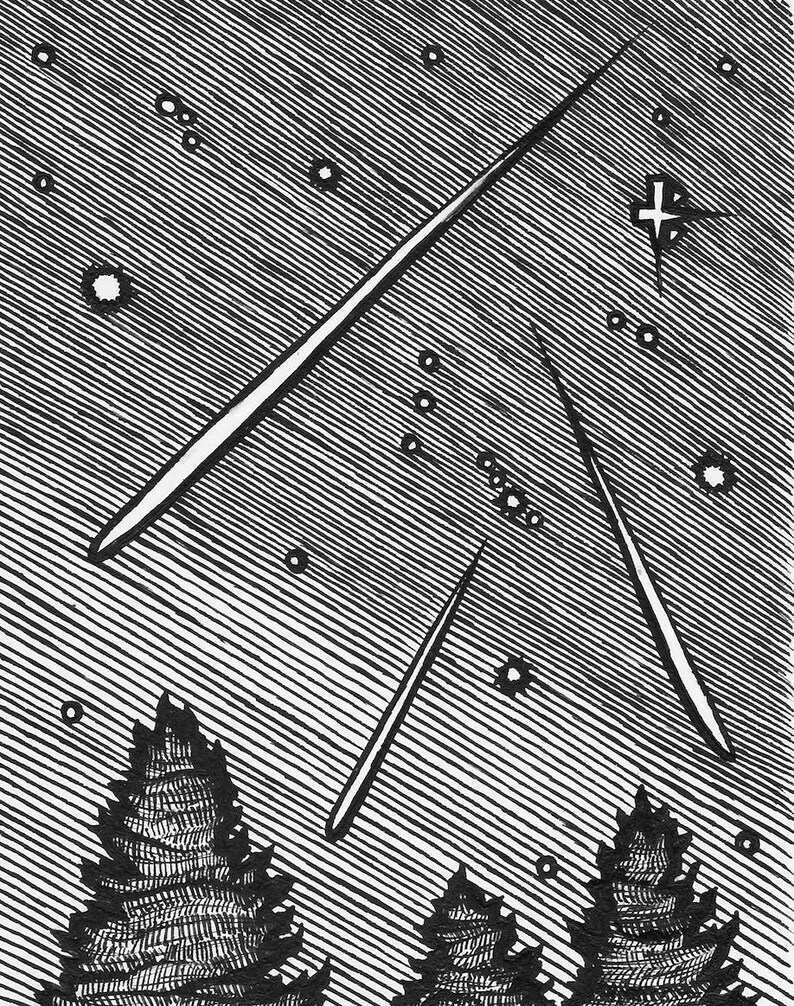 Fall Pen and Ink Drawing Black and White Illustration Art Print - Etsy