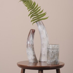 Single Flower Genuine Buffalo Horn Tub Vase,modern Home Decor, Horn ...
