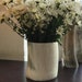 Natural Buffalo Horn Vase,pot,flower Vase,flower Pot,planter Multiple ...