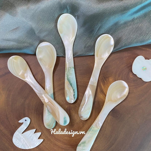 Engraved Shell - Etsy