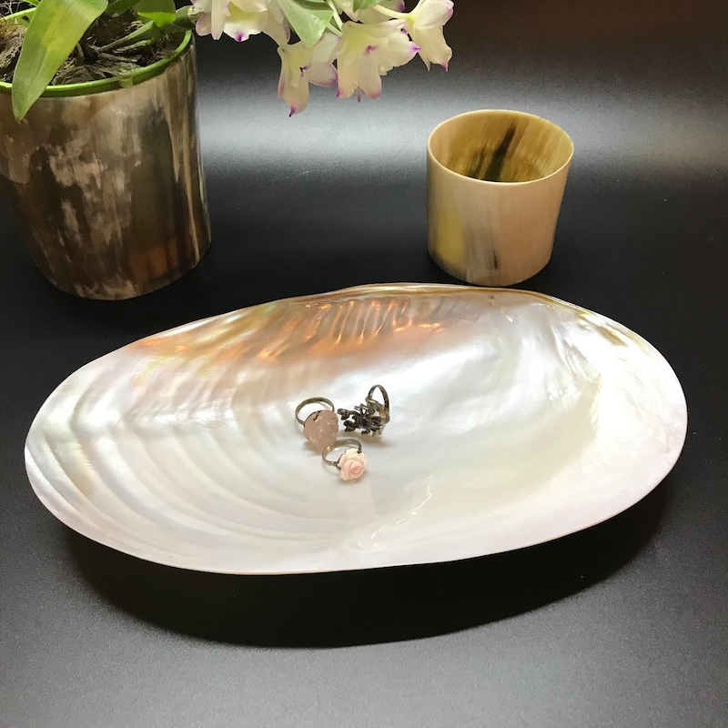 Shell Soap Dish - Etsy