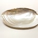 Decorative Giant Shell Dish, Mother of Pearl Dish Seashell Dish ...