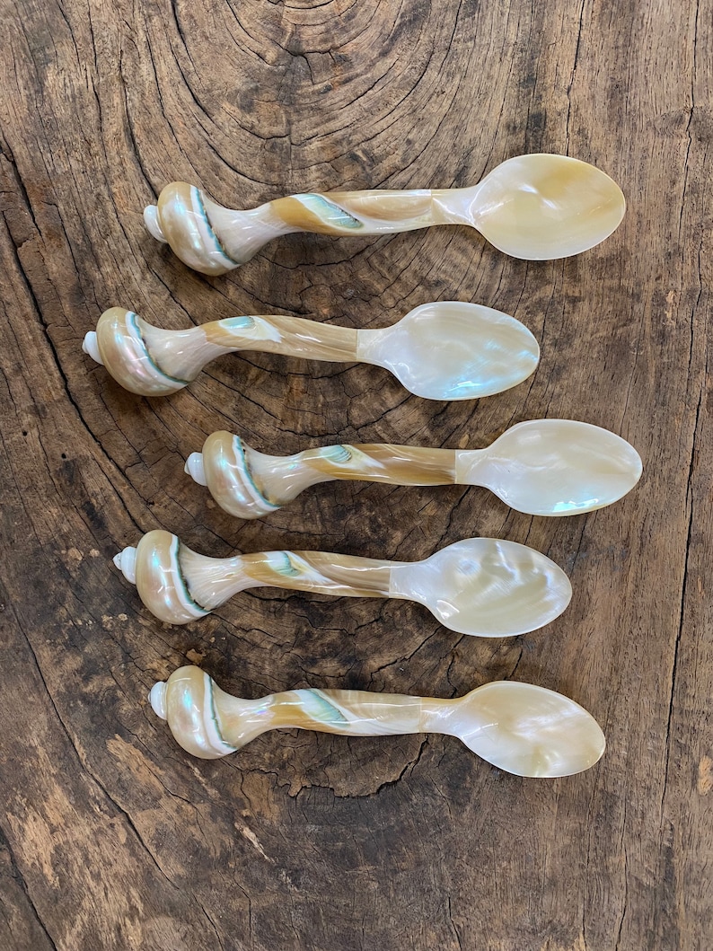 Custom Engraved Oyster and Snail Spoon Length 16cm Sugar - Etsy