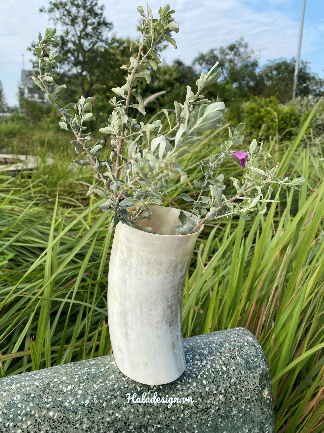 Genuine Buffalo Horn Flower Vase, Horn Decor, Home Decor , Horn Vase ...