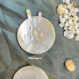 Round Shell Dish With Silver Plated Trim , Golden Mother of Pearl Dish ...