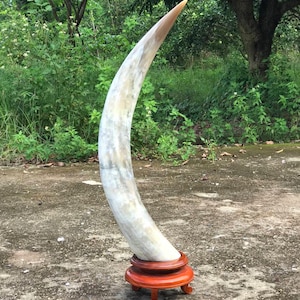 Big Decorative Horn Sculpture L= 31.8" ,long Marble Buffalo Horn on ...
