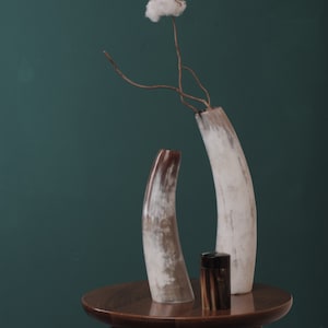 Single Flower Genuine Buffalo Horn Tub Vase,modern Home Decor, Horn ...