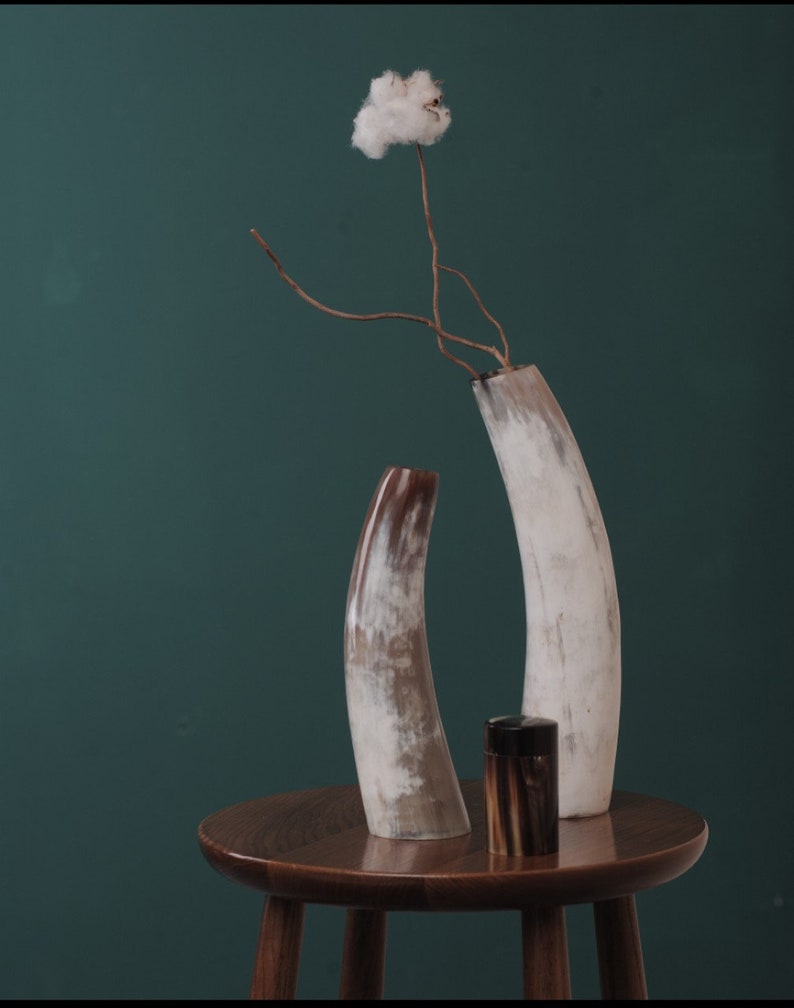 Single Flower Genuine Buffalo Horn Tub Vase,modern Home Decor, Horn ...