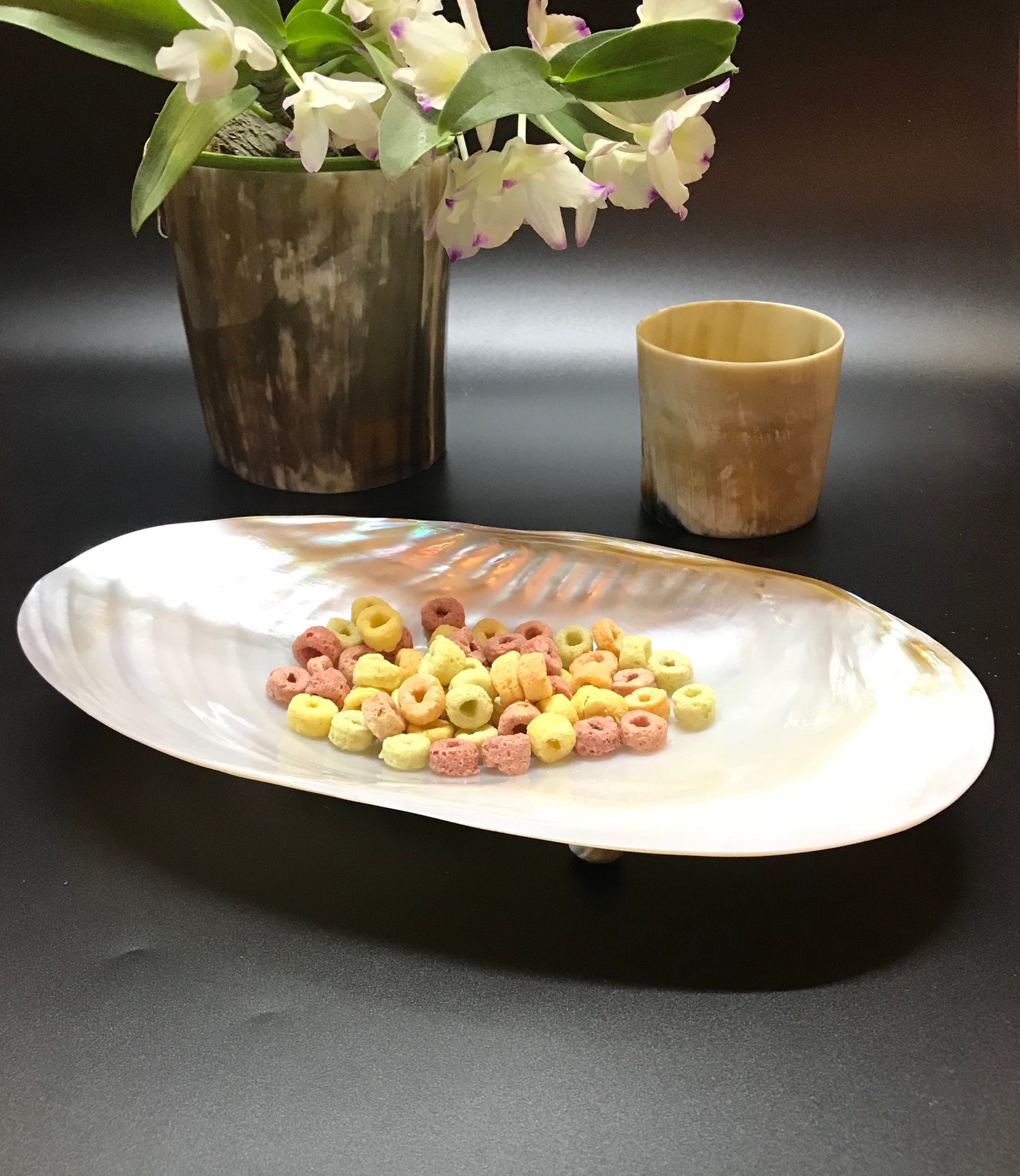 Decorative Giant Shell Dish Mother of Pearl Dish Seashell | Etsy