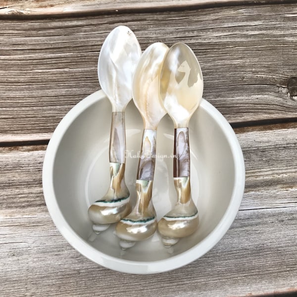 Engraved Shell - Etsy