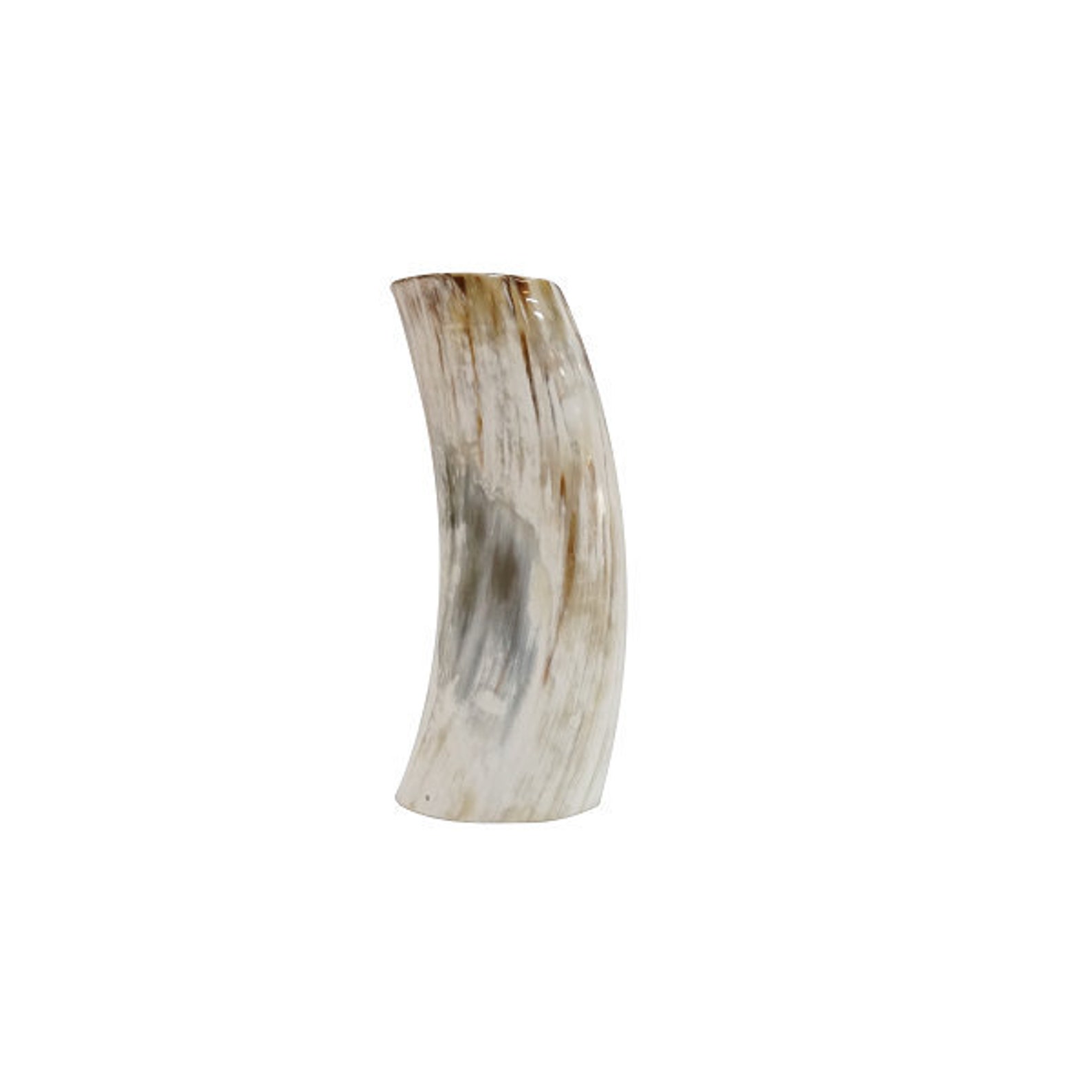Long Natural Buffalo Horn Vase ,flower Vase, Horn Vase , Minimalist ...