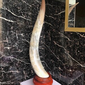 Big Decorative Horn Sculpture L= 31.8" ,long Marble Buffalo Horn on ...