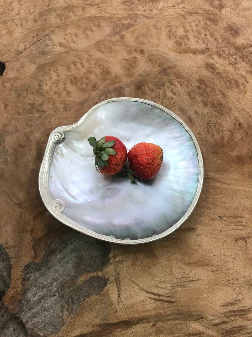 Shell Dish With Silver Plated Trim Mother of Pearl Caviar | Etsy