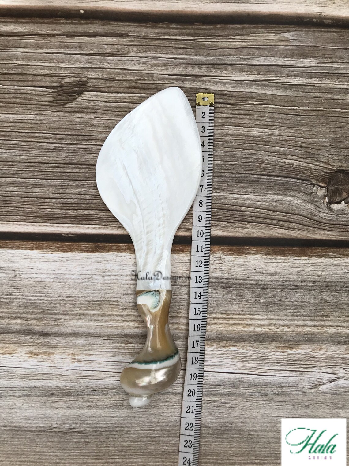 Sea Shell Non Stick Rice Paddle Spoon , Rice Spoon, Big Potato Serving ...