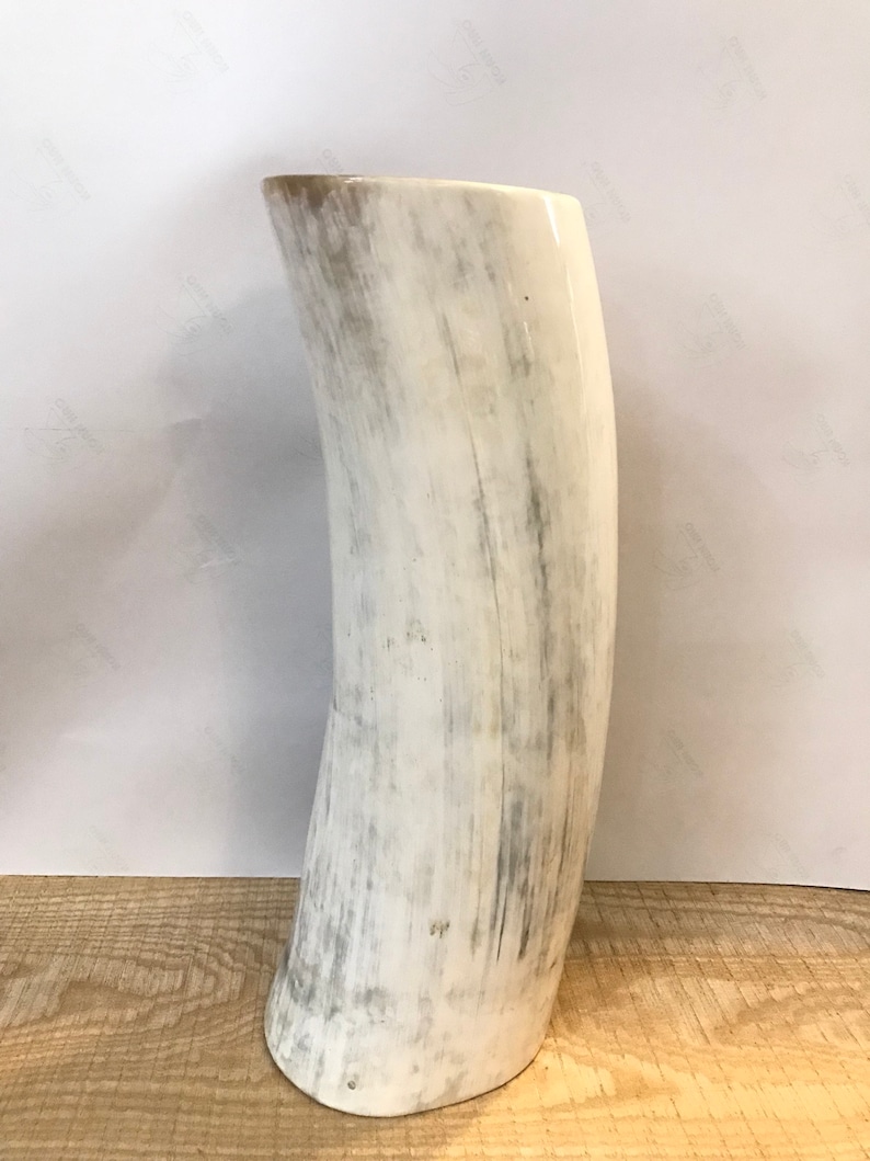 Long Natural Buffalo Horn Vase ,flower Vase, Horn Vase , Minimalist ...