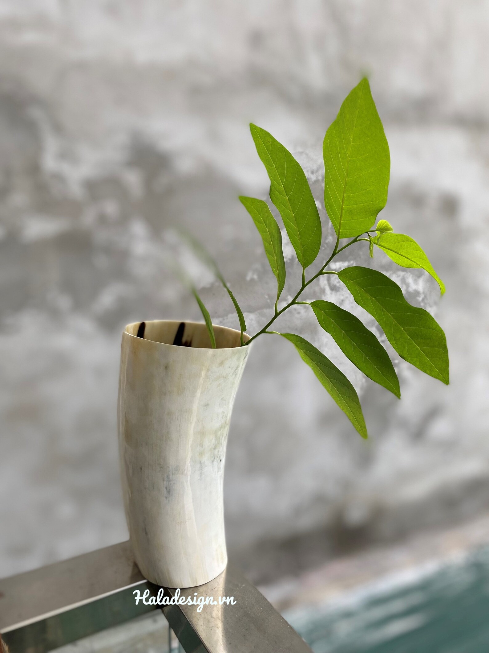 Genuine Buffalo Horn Flower Vase, Horn Decor, Home Decor , Horn Vase ...