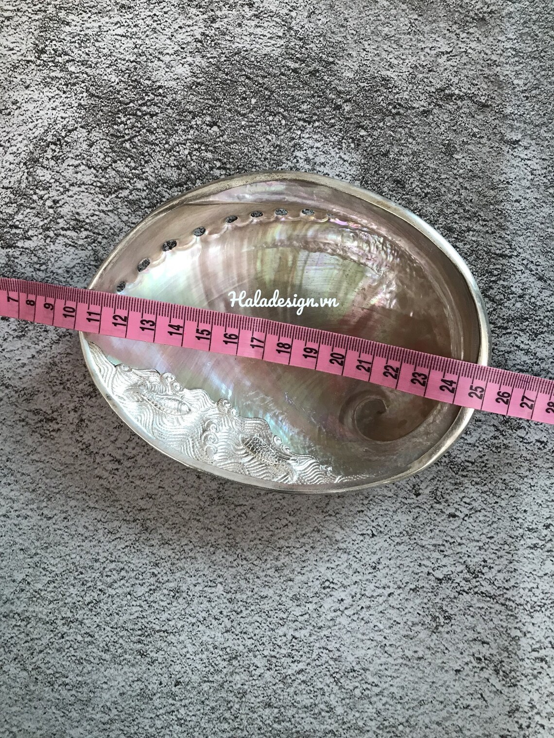 Giant Pink Abalone Shell Dish With Silver Plated Trim | Etsy