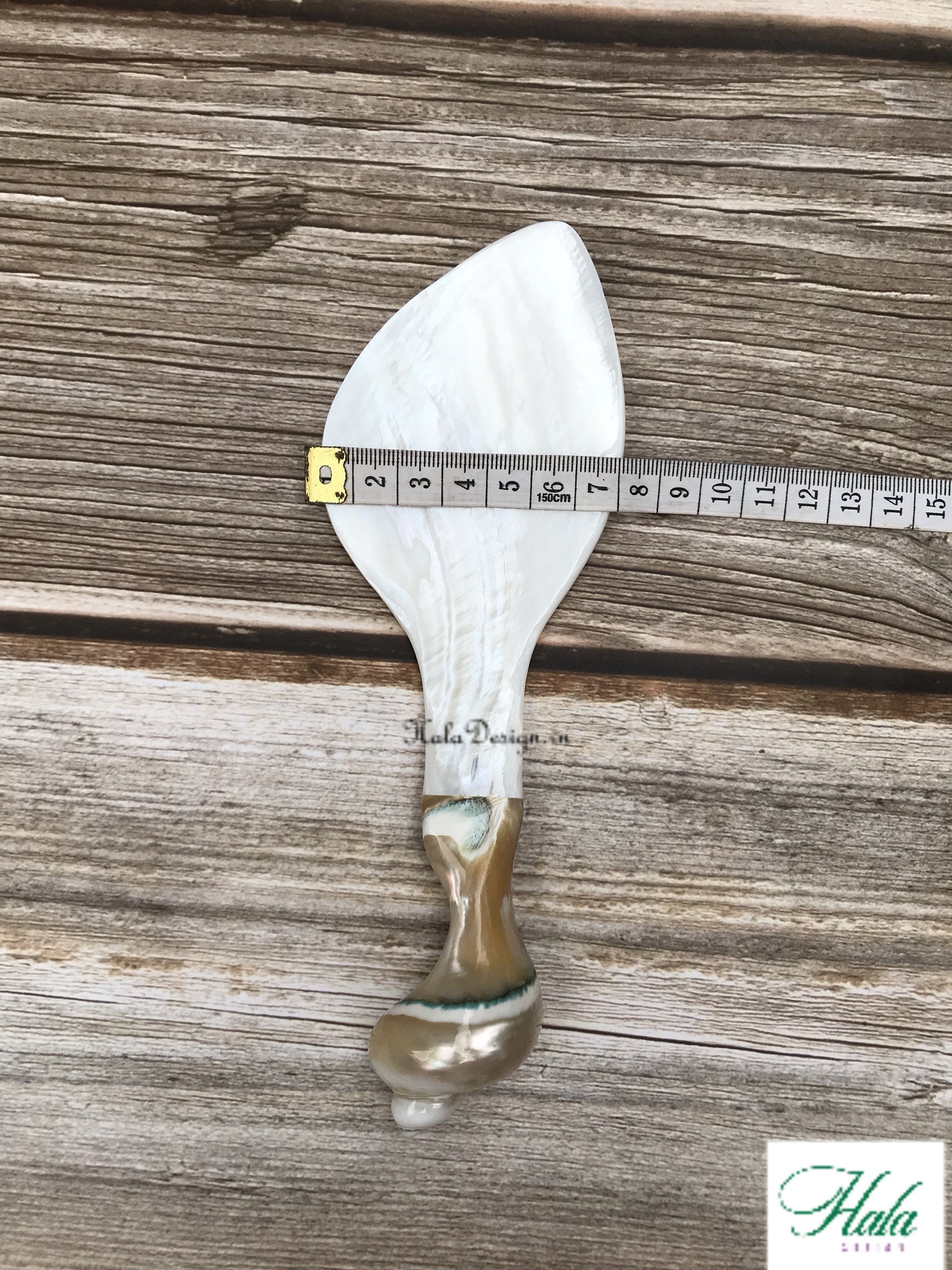 Sea Shell Non Stick Rice Paddle Spoon , Rice Spoon, Big Potato Serving ...