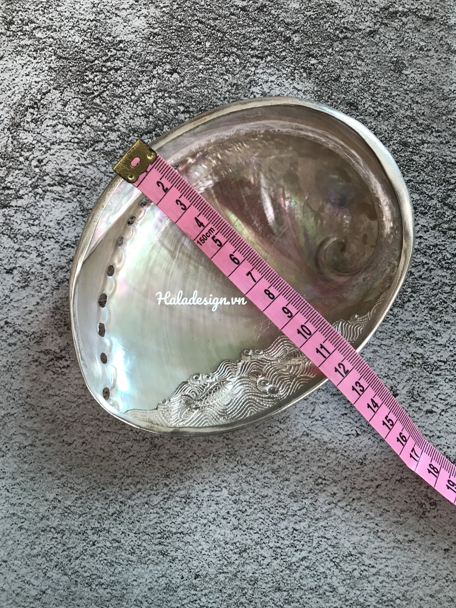 Giant Pink Abalone Shell Dish With Silver Plated Trim | Etsy