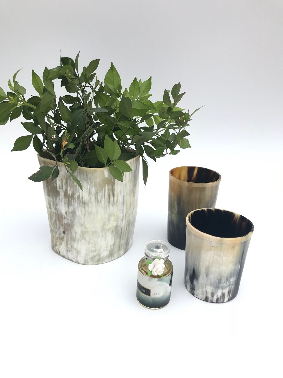 Natural Buffalo Square Horn Vase, Horn Pot, Flower Vase , Flower Pot ...