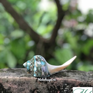 Seashell Chopstick Rest, Turbo Shell Snail Hashioki Chopsticks Rest ...