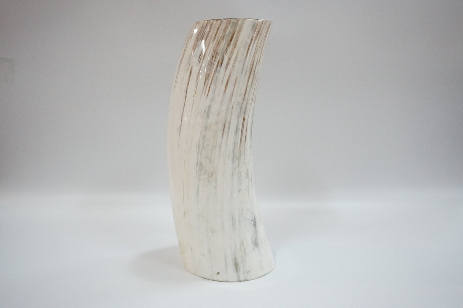 Long Natural Buffalo Horn Vase ,flower Vase, Horn Vase , Minimalist ...