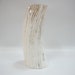 Long Natural Buffalo Horn Vase ,flower Vase, Horn Vase , Minimalist ...
