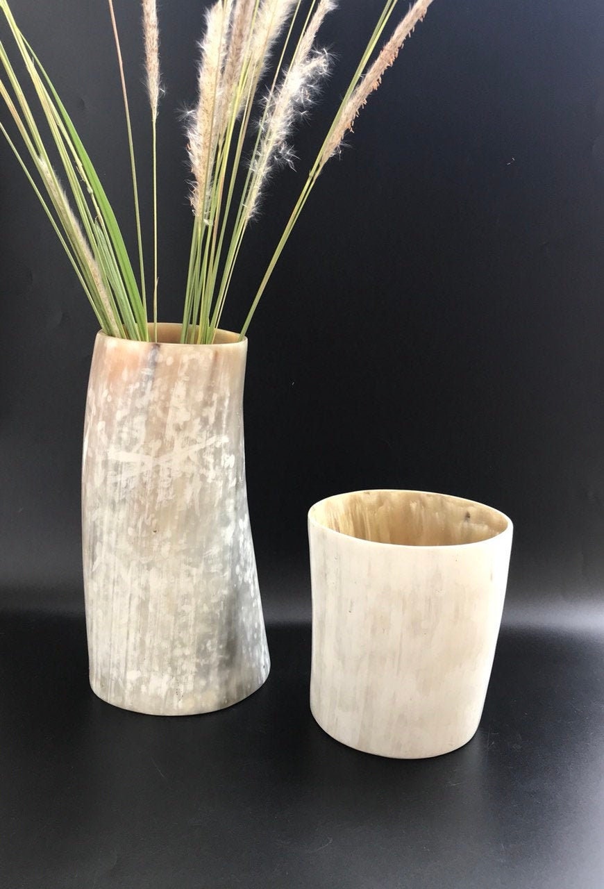 Natural Buffalo Horn Vase, Horn Pot, Flower Vase, Flower Pot, Planter ...
