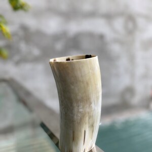 Genuine Buffalo Horn Flower Vase, Horn Decor, Home Decor , Horn Vase ...