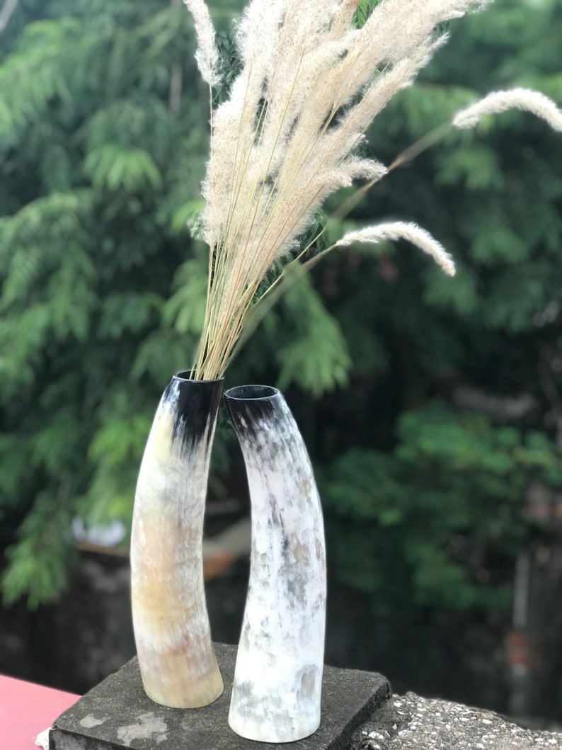 Single Flower Genuine Buffalo Horn Tub Vase,modern Home Decor, Horn ...
