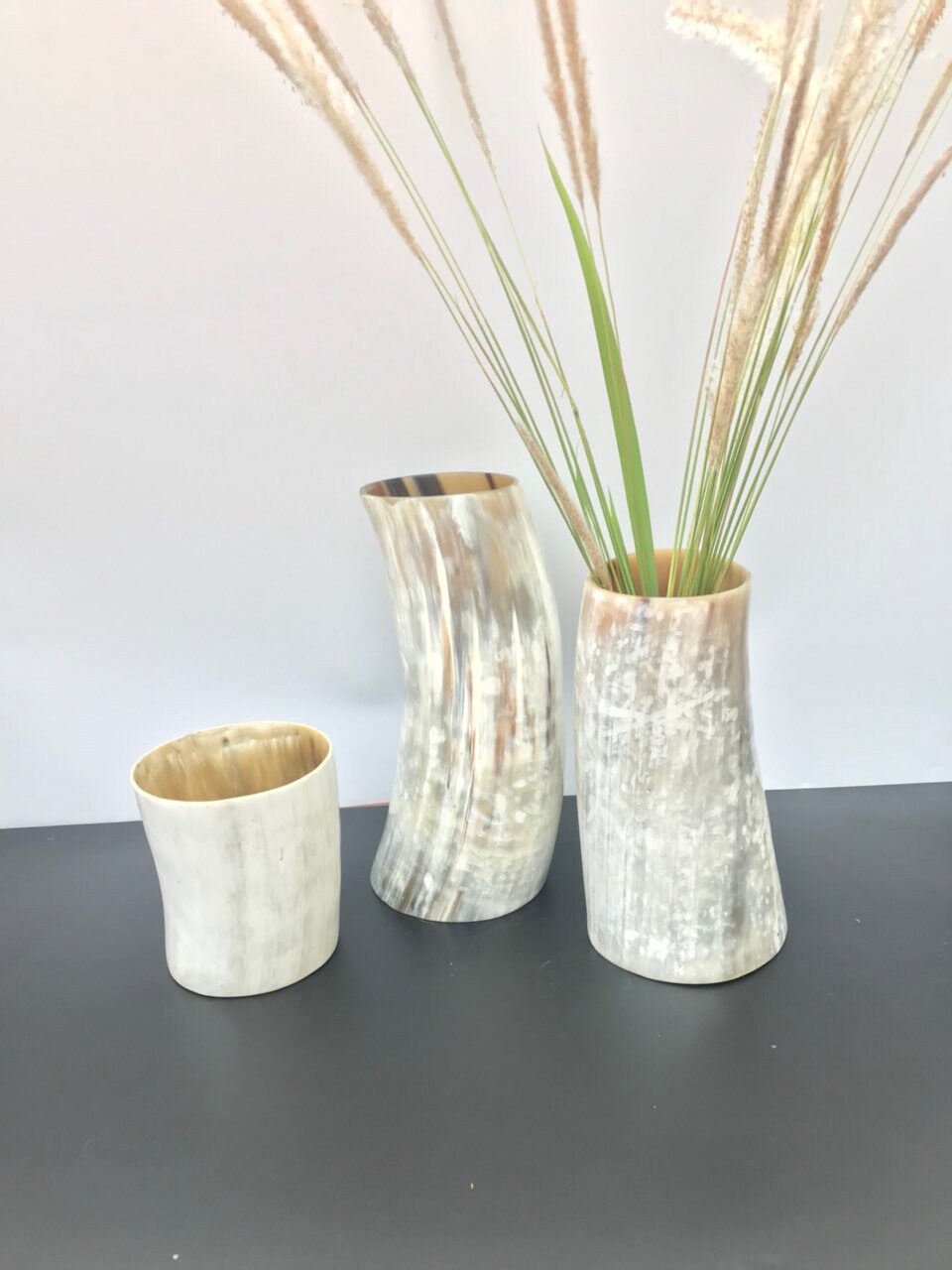 Natural Buffalo Horn Vase, Horn Pot, Flower Vase, Flower Pot, Planter ...