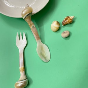 Custom Engraved Turbo Shell Fork & Spoon Length= 16cm , Sugar Tea ...