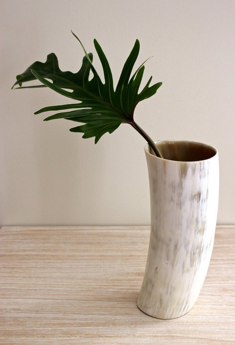 Genuine Buffalo Horn Flower Vase Horn Decor Home Decor | Etsy
