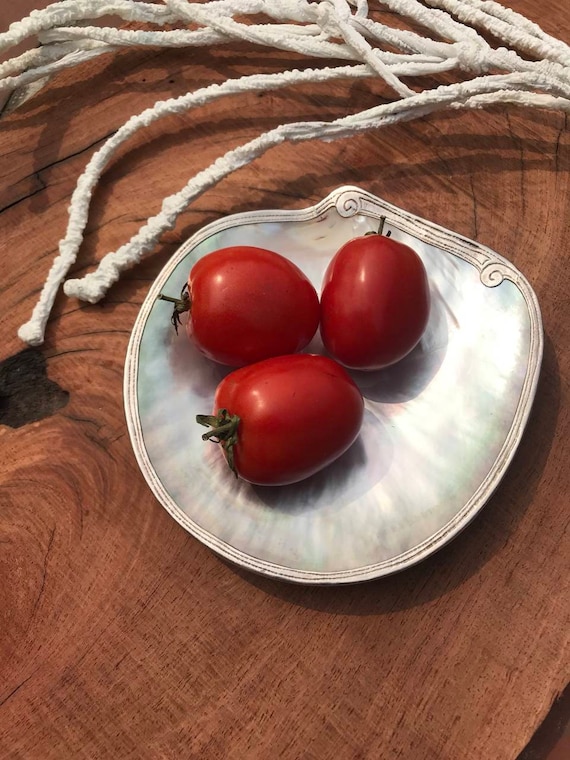 Shell Dish With Silver Plated Trim Mother of Pearl Caviar | Etsy