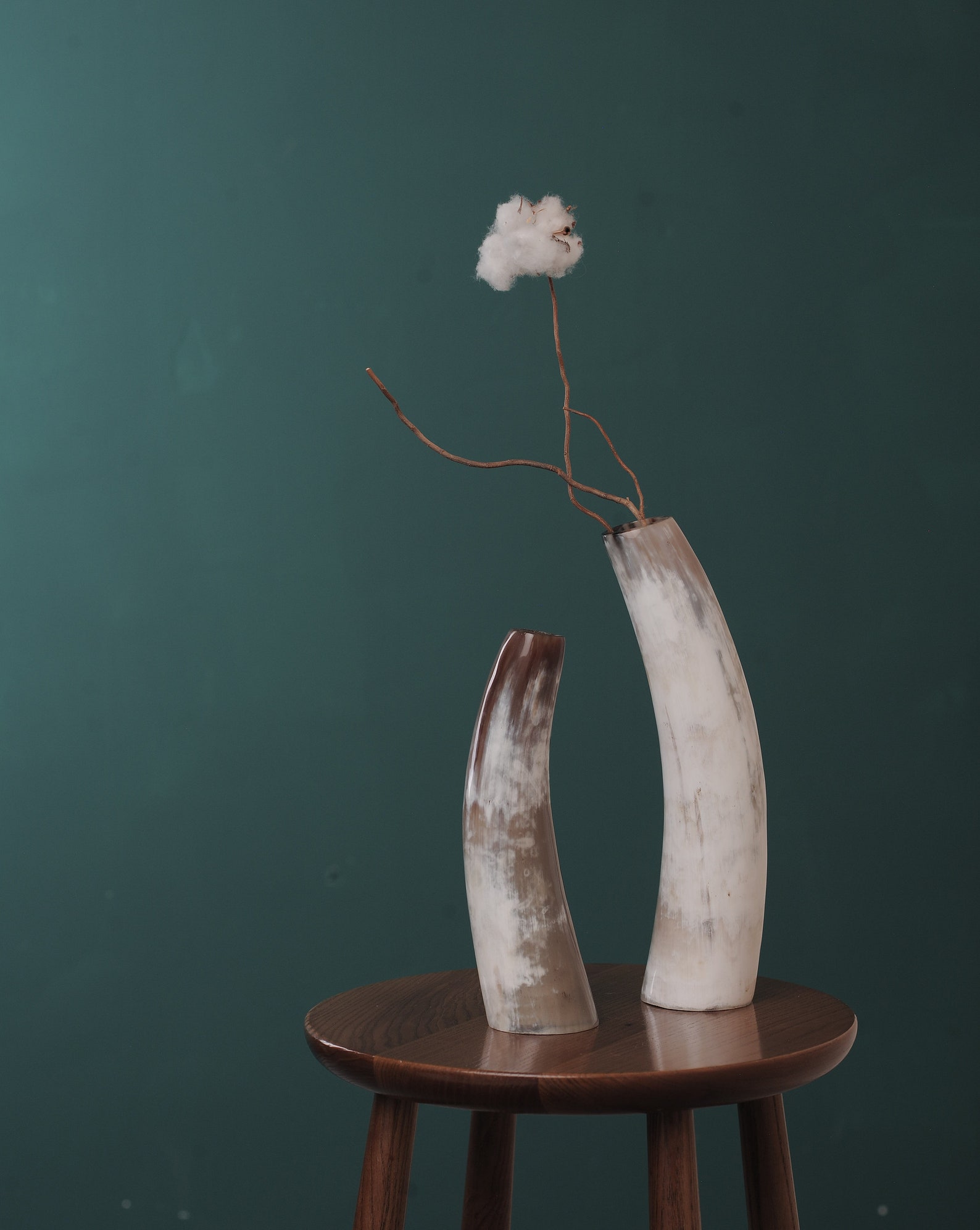 Single Flower Genuine Buffalo Horn Tub Vase,modern Home Decor, Horn ...