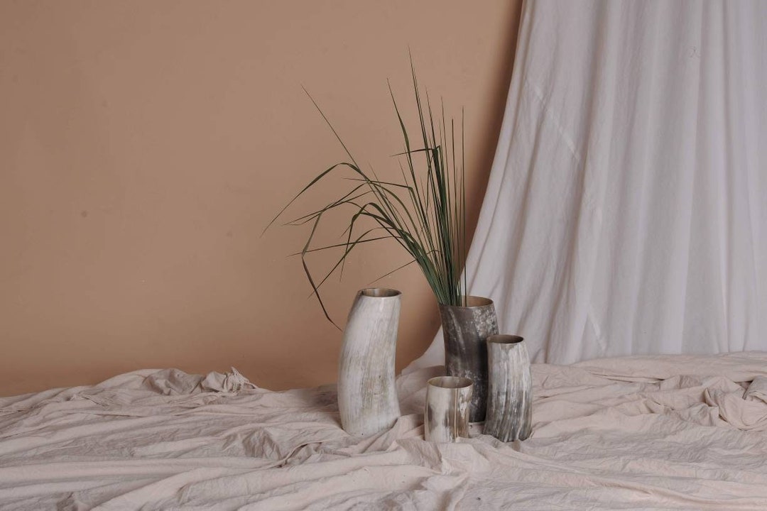 Natural Buffalo Horn Vase, Horn Pot, Flower Vase, Flower Pot, Planter ...