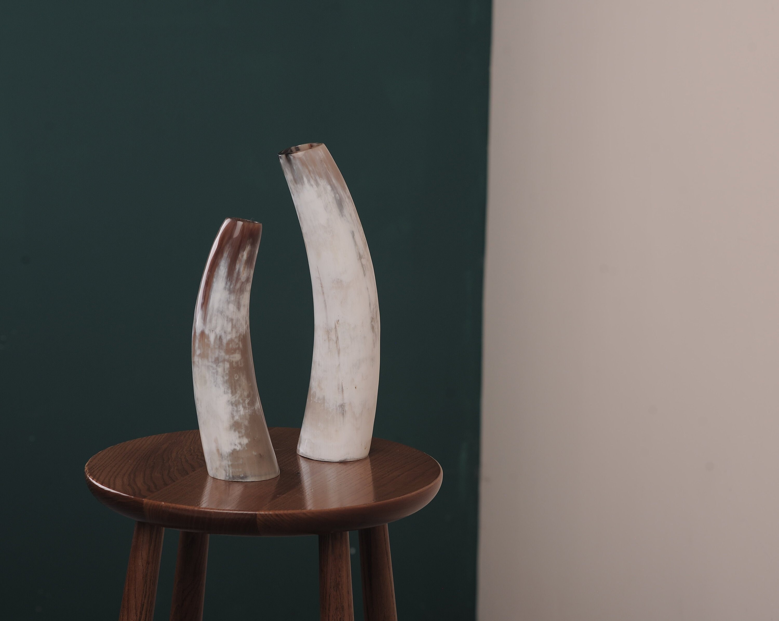 Single Flower Genuine Buffalo Horn Tub Vase,modern Home Decor, Horn ...